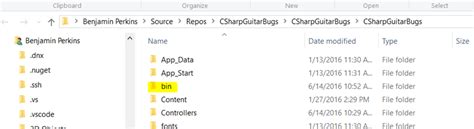 codedom provider type could not be located the best c programmer in