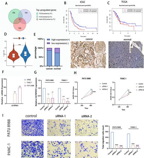 Bulk Anda Single Cell Transcriptome Profiling Reveals The Molecular