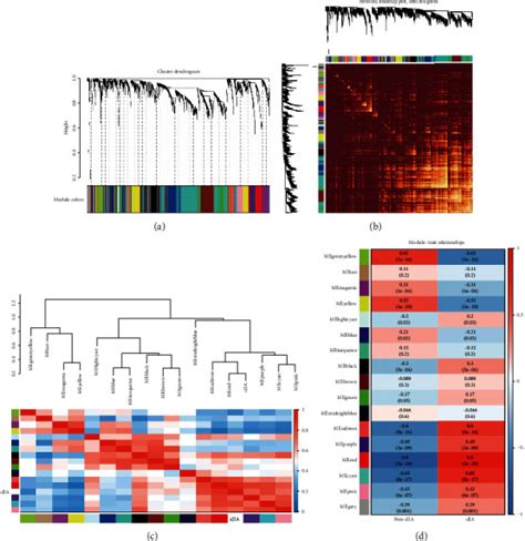 Application Of Weighted Gene Coexpression Network Analysis To Identify