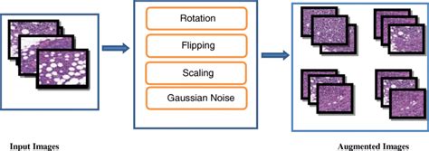 illustration of different data augmentation techniques used in this