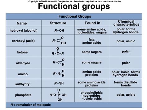 functions of a group how to meet russian