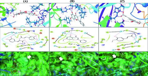 In Silico Binding Poses Of A Rosmarinic Acid B Techtochrysin And