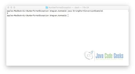 java lang numberformatexception examples java code geeks