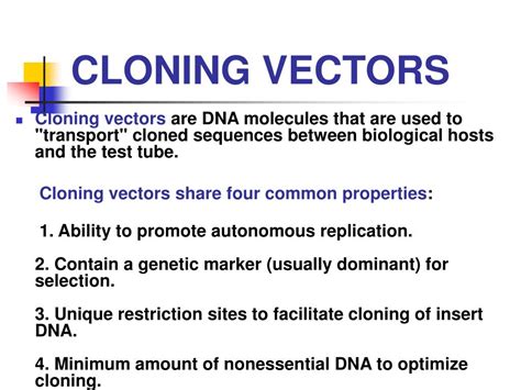 Ppt Principles Of Cloning Vectors And Cloning Strategies Powerpoint