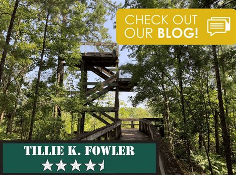 The Best Hiking Trails In Jacksonville Jacksonville Beach Moms