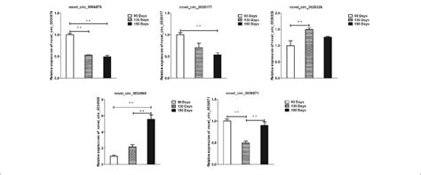 Validation Of Circrna Differential Expression Results At 90 130 And