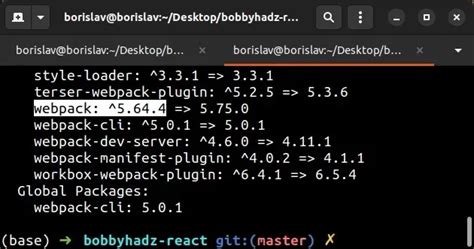 check which version of webpack is installed using npm bobbyhadz