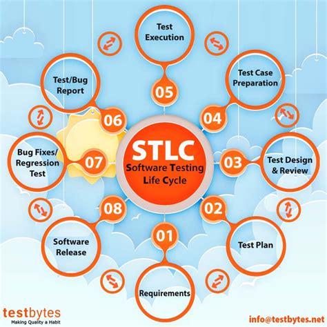 software testing process what happens in software testing 2022