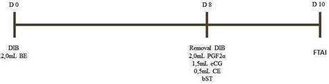 Schematic Representation Of Estrus Synchronization And Download