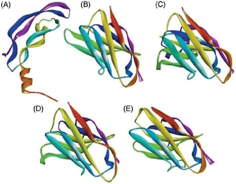 Nanobody 3 D Structures Predicted By Swiss Modeler A Human Vegf 121