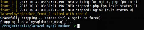 getting started with laravel mariadb mysql and docker docker compose