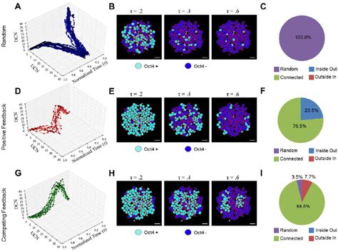 Spatial Pattern Trajectories Of Differentiation For 1000 Cell