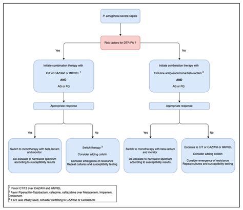 Antibiotics Free Full Text Antimicrobial Treatment Of Pseudomonas