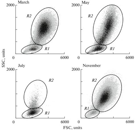 Morphological Types Of Corbicula Japonica Hemocytes Detected By Light