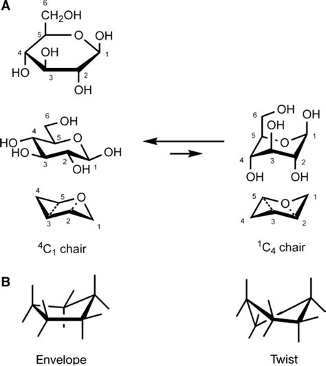 Figure 2 7 [chair Conformations A β D Glucose In ] Essentials