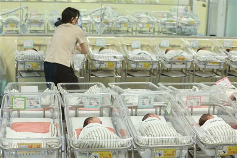 5월 출생아 1만9574명…8년 반 만에 두 달 연속 증가 한국경제
