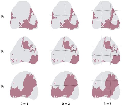 Multi Resolution Super Learner For Voxel Wise Classification Of
