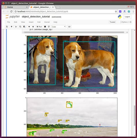 tensorflow object detection tutorial