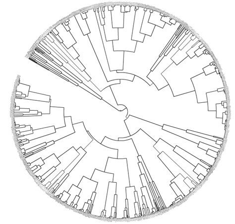 python algorithm to decide cut off for collapsing this