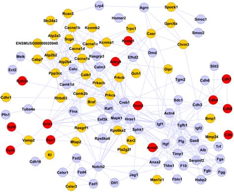 Temporal Transcriptome Analysis Reveals Dynamic Gene Expression