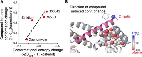 Importance Of Dynamics In Protein Ligand Interactions A The