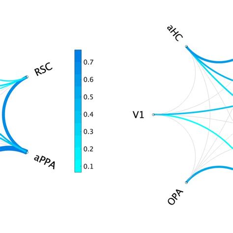 Graphical Representation Of The Resting‐state Functional Connectivity