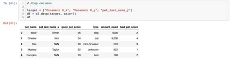 python pandas overview and examples