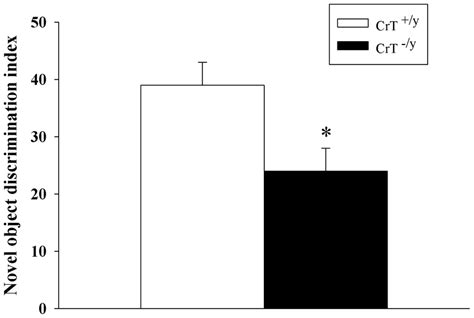 Crt− Y Mice Show Deficits In Object Recognition Memory The Novel