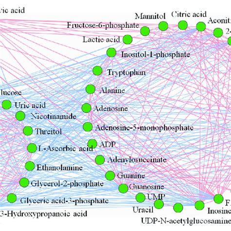 The Correlation Network Diagram Of Differential Metabolites The