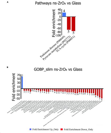 Gene Ontology Classification Of Proteins Differentially Expressed In
