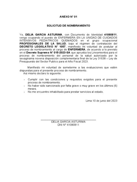 Solicitud De Nombramiento Pdf