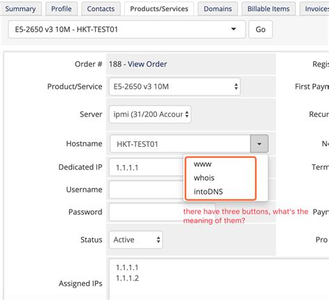 dns what s the meaning of whois intodns for a hostname super user