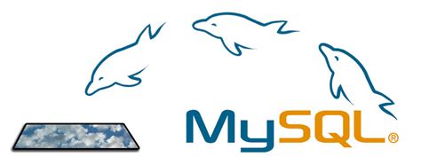 how to use find in set mysql function in codeigniter