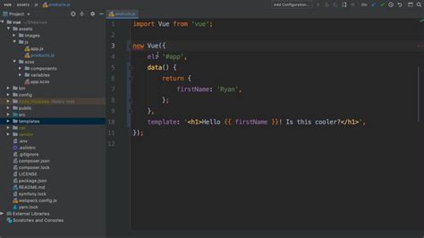 vue instance and dynamic data the delightful world of vue symfonycasts