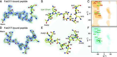 Structural Analysis Of Antibody Bound Peptides A And D 2fo Fc