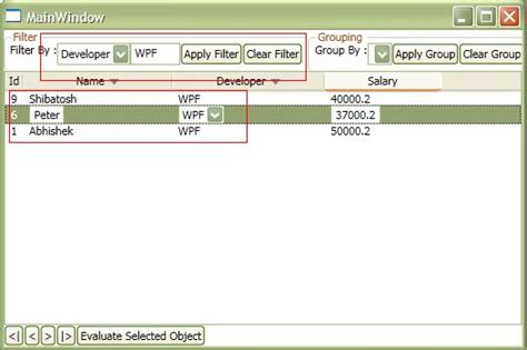 dot net tricks working with collectionview in wpf filter sort group 0