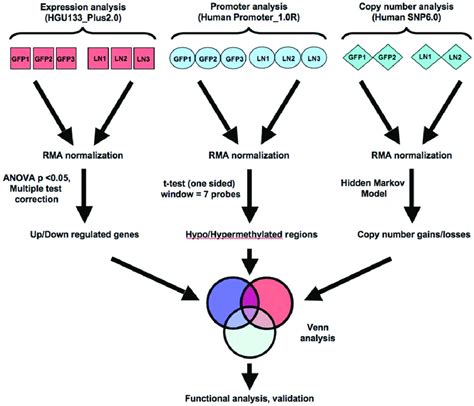 Experimental Design For Gene Expression Promoter Methylation And Copy