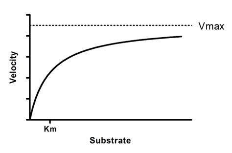 Graphpad Prism 9 Curve Fitting Guide Entering Rules For Initial Values