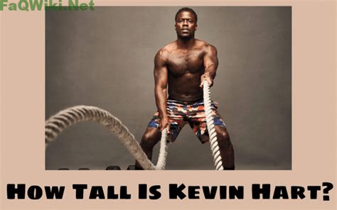 How Tall Is Kevin Hart Faqwiki