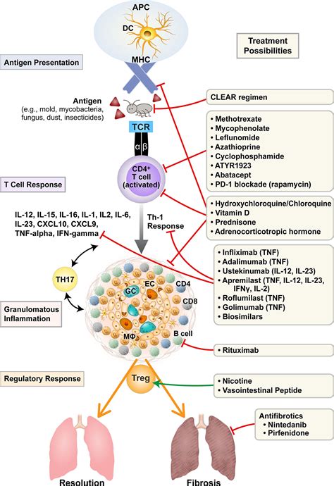 Frontiers Treatment Of Sarcoidosis A Multidisciplinary Approach