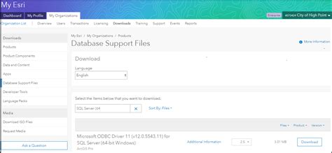 add database connections in arcgis pro it services help