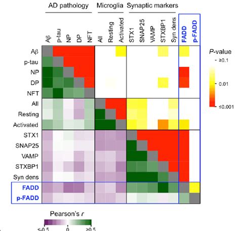 Heatmap Of Pearsons R Bottom Left And P Top Right Values Following