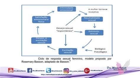 Ciclo De Resposta Sexual Proposto Por Rosemary Basson