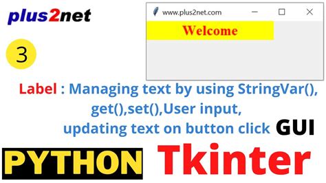 tkinter label managing text by stringvar to update using user input by