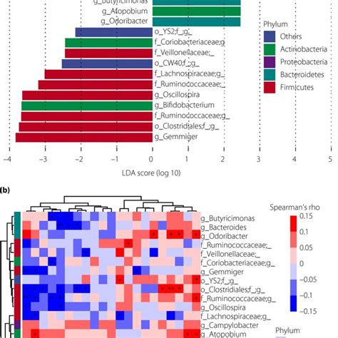 Picrust Analysis Results Of Predicted Functional Pathways Of The Gut