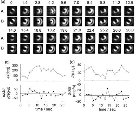 Figure 4 From Visualizing Spatial And Temporal Heterogeneity Of Single