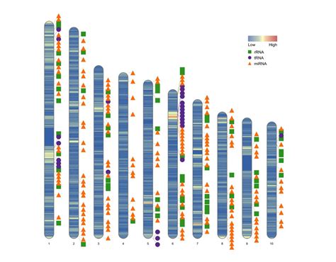 python vector graphics at collection of