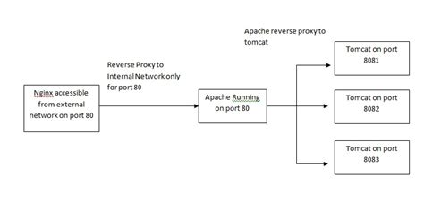 nginx reverse proxy on a internal apache reverse server