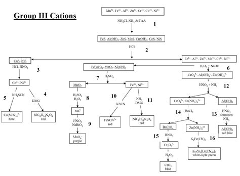 qualitative analysis of group i cations clip free hot
