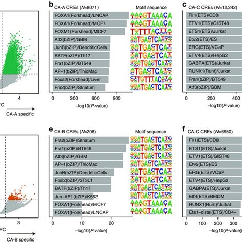 Difference In Chromatin Accessibility Between Ca C And Other Tumours A